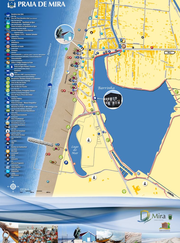 Explore the Surroundings – Greenside of Sea Hostel